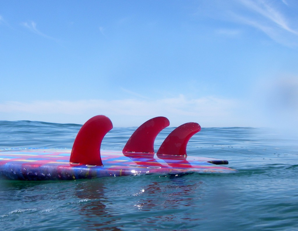 Fin Gallery | Thefinbox.com