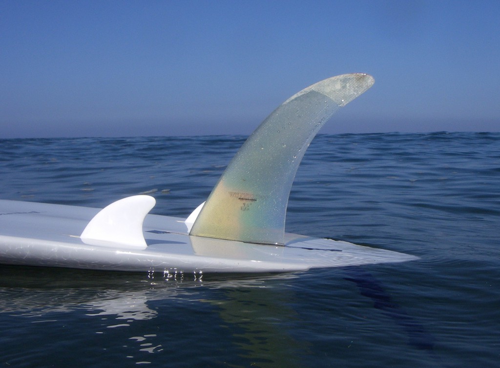 Fin Gallery | Thefinbox.com