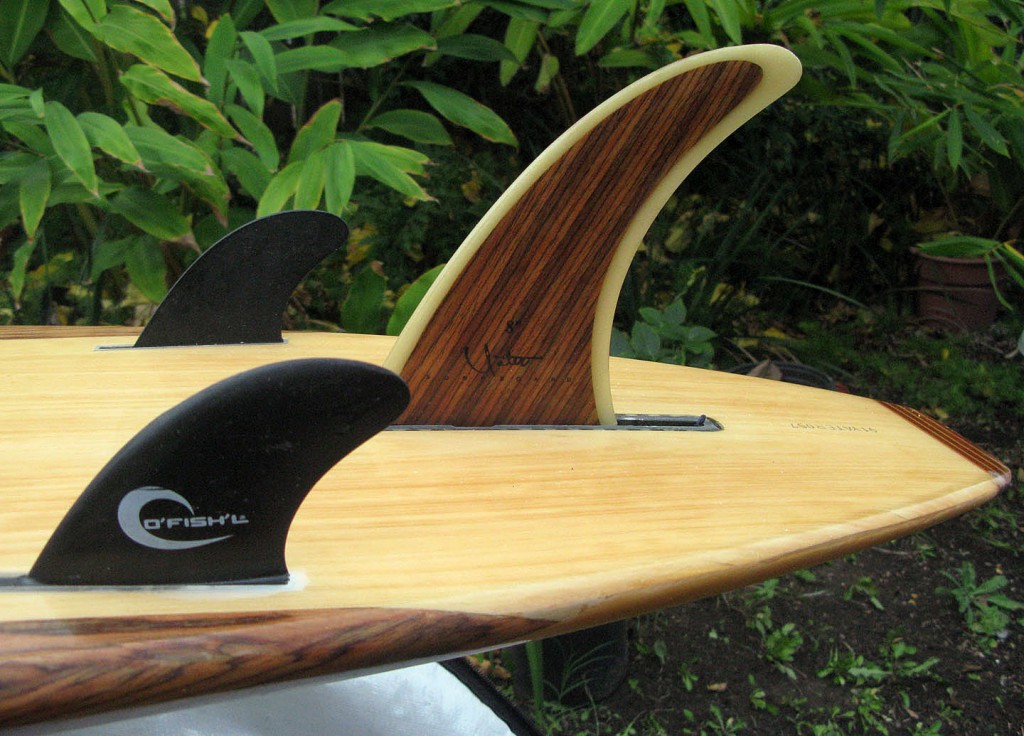 Fin Gallery | Thefinbox.com